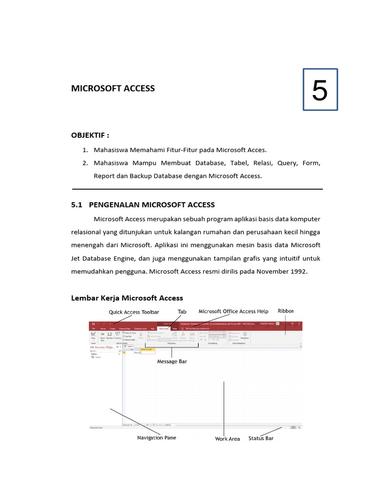 Microsoft Access | PDF