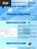 Panel de Control Sistema y Seguridad | PDF