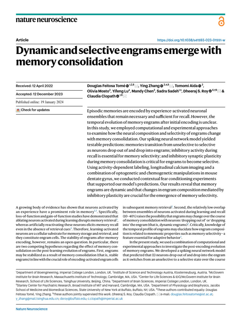 Dynamic and Selective Engrams Emerge With Memory Consolidation | PDF | Synaptic Plasticity | Memory
