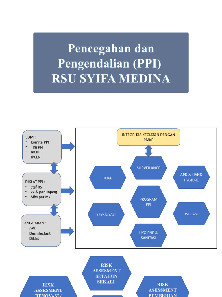 Program Kerja PPI RS 2024 | PDF