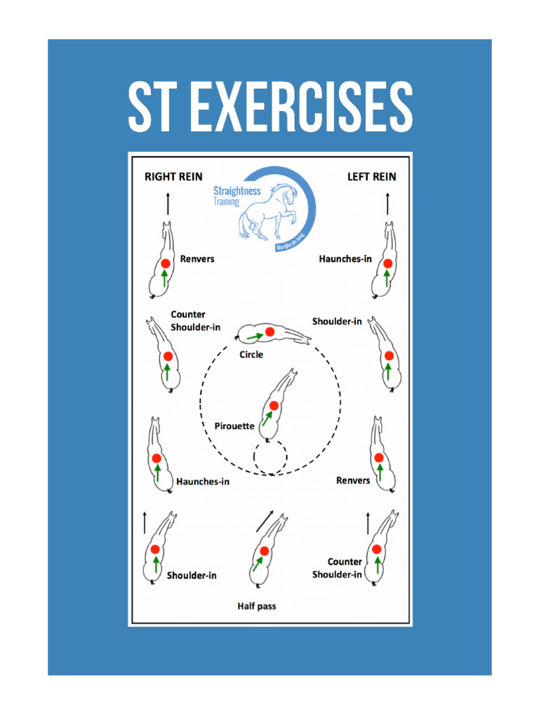 Straightness Training Exercises | PDF | Horse Gait | Horses