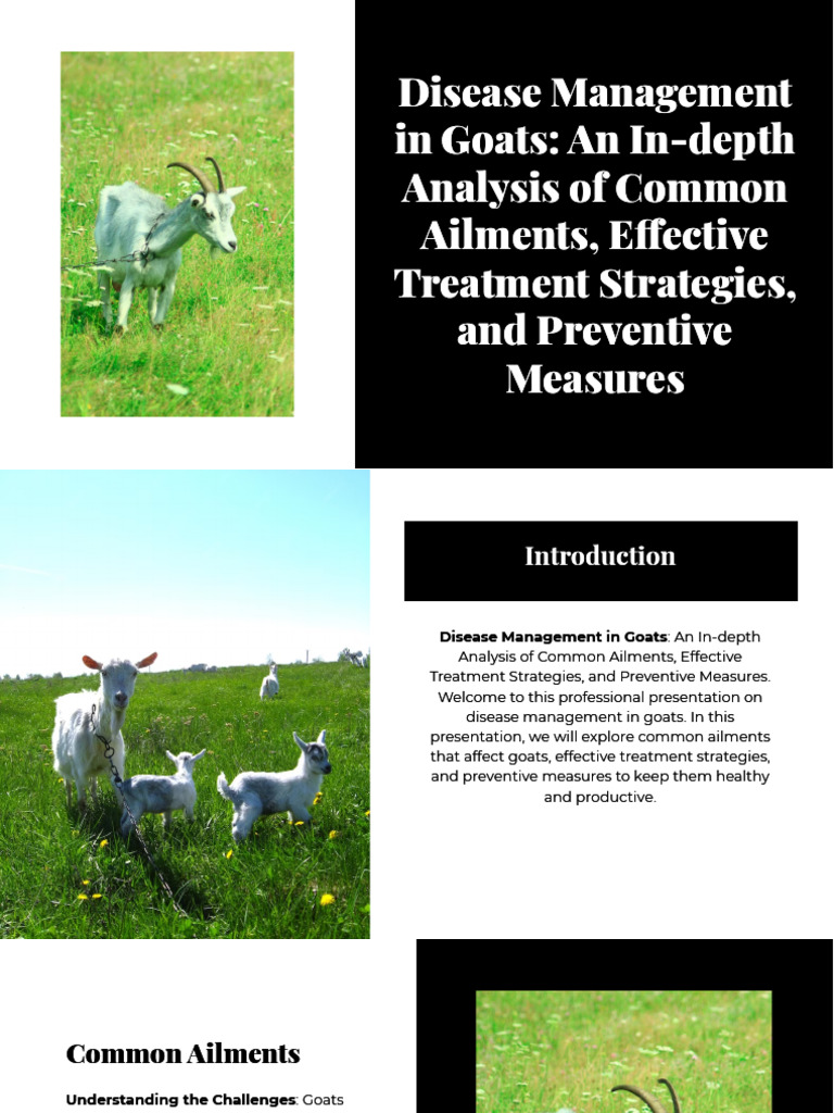 Wepik Disease Management in Goats An in Depth Analysis of Common Ailments Effective Treatment ...