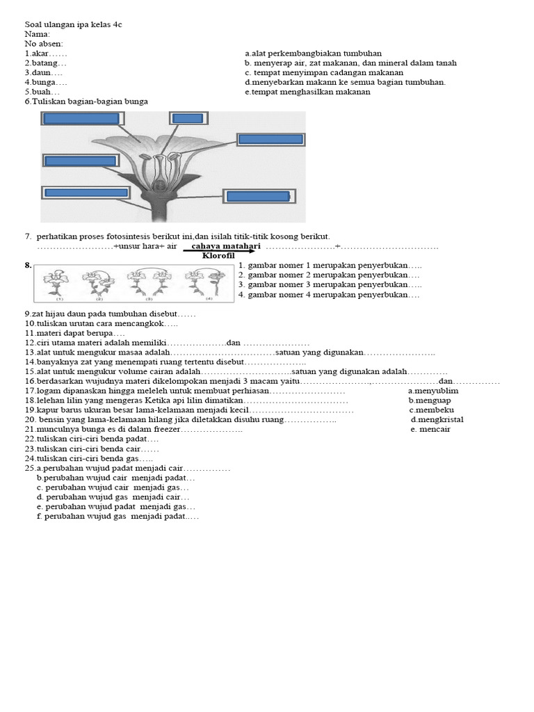 Soal Ulangan Ipa Kelas 4c | PDF | Griya & Taman