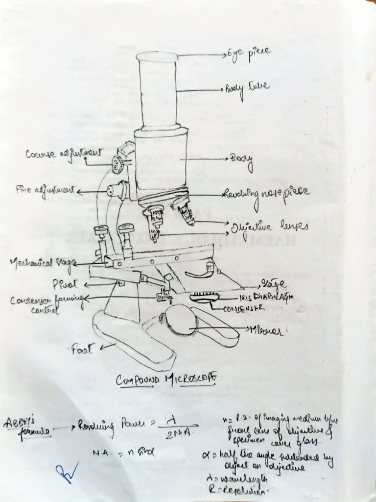 Microscope and Usage | PDF | Equipment | Glass Applications