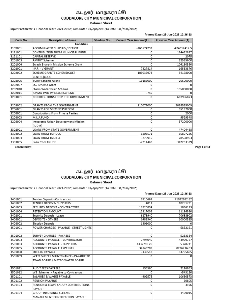 Cuddalore BalanceSheet | PDF
