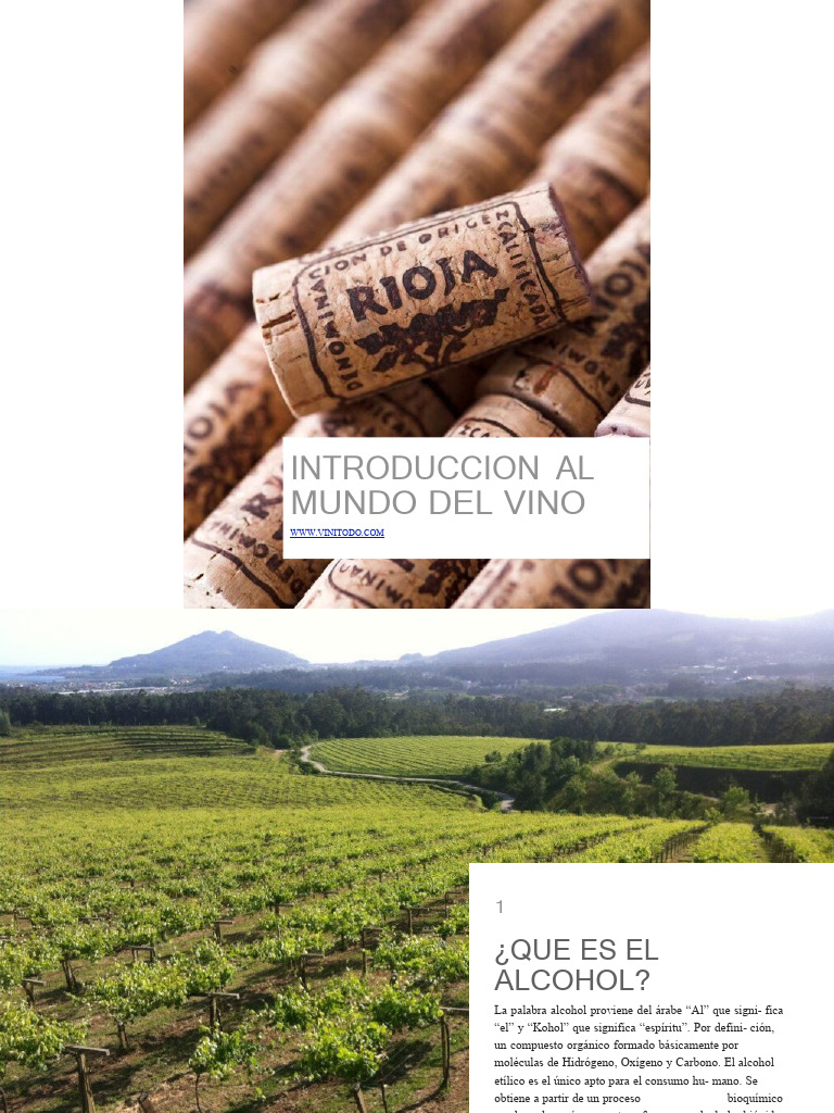 Clasificacion de Los Vinos | PDF | Vino | Cata de vinos