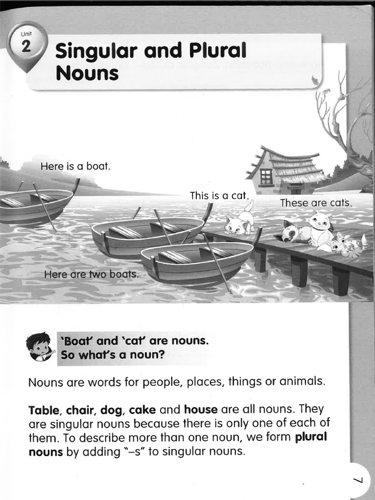 Unit 2 Singular and Plural Nouns | PDF