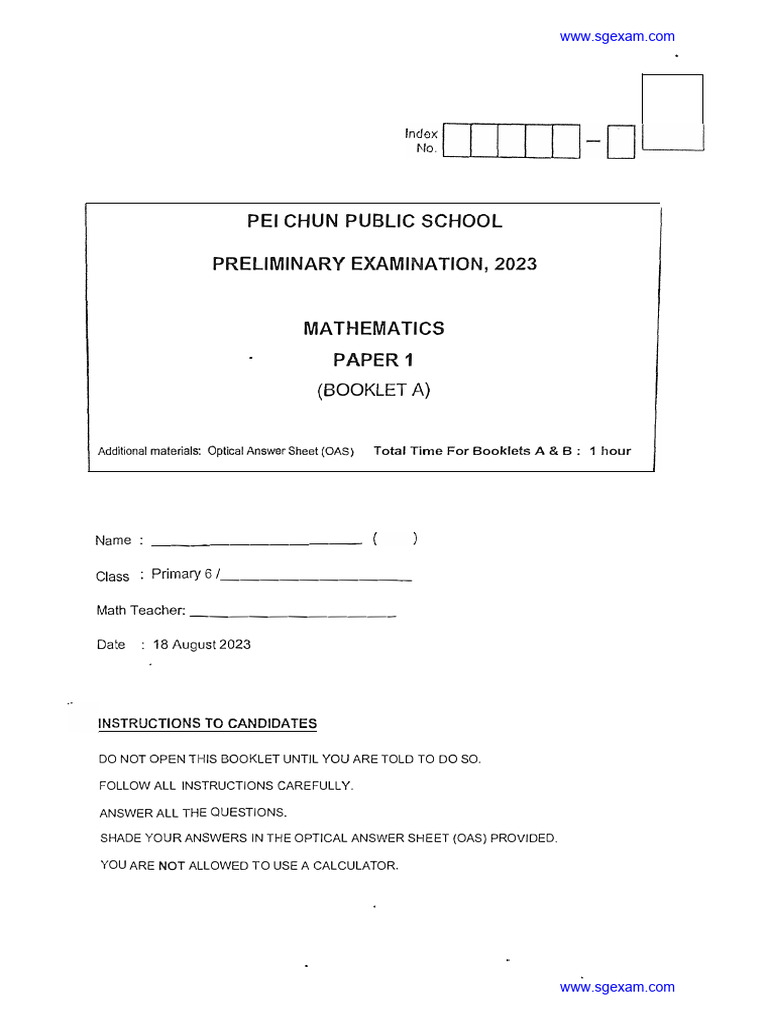 2023 P6 Maths Prelim Pei Chun Removed | PDF