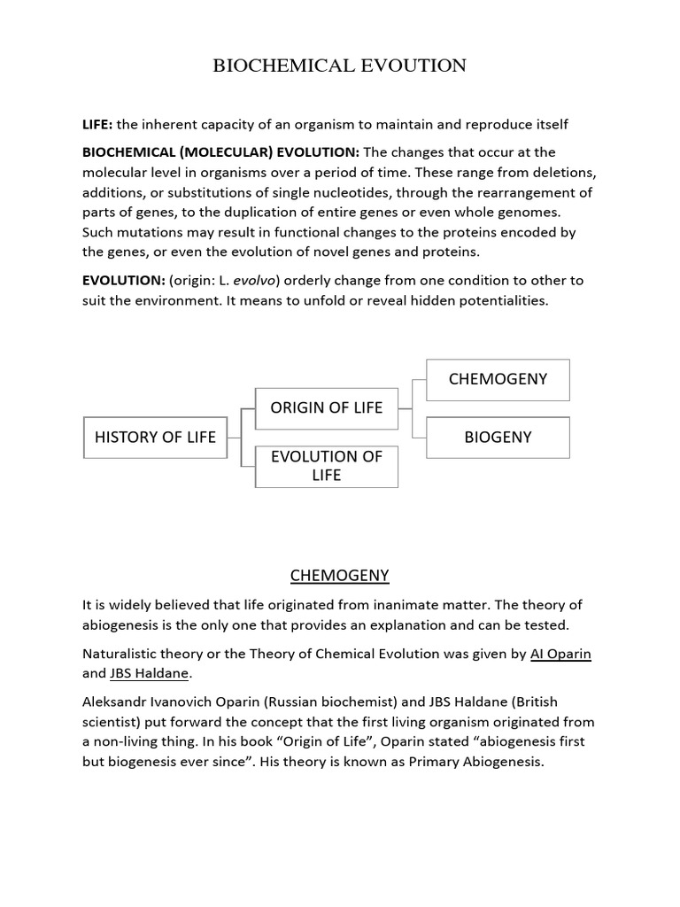 Biochemical Evolution | PDF | Operon | Gene