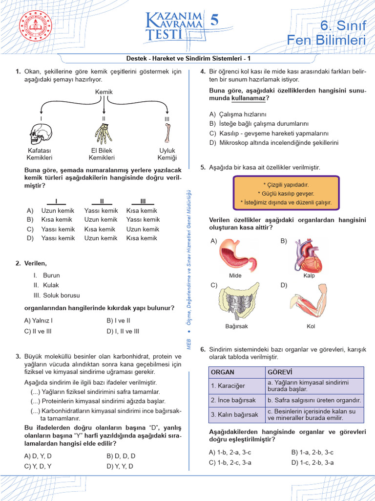 Sınıf - Sınıf Fen Bilimleri Fen Bilimleri: Destek - Hareket Ve Sindirim Sistemleri - 1 | PDF