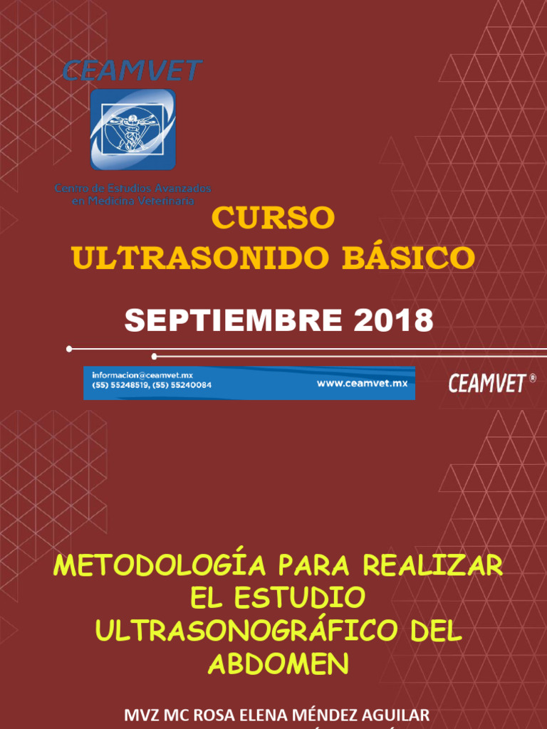 01A METODOLOGIA US ABD | PDF | Términos anatómicos de ubicación ...