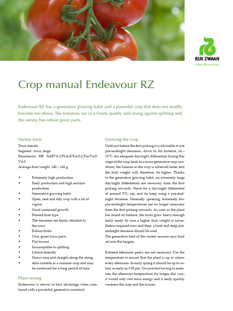 ta_200_crop_manual_endeavour_rz_2012-01_uk | PDF | Pruning | Tomato
