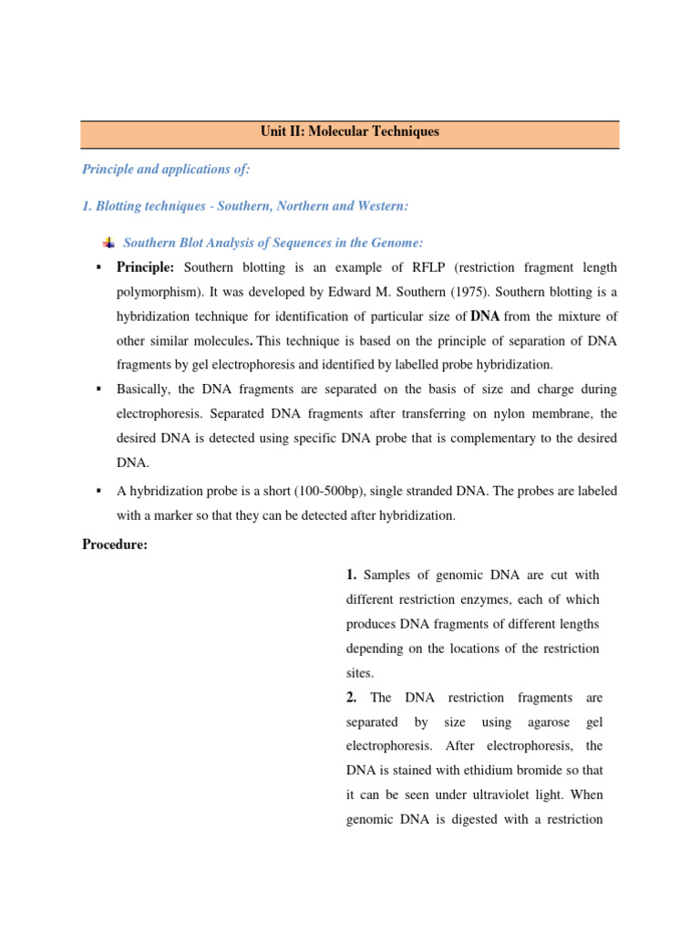 Unit II - Molecular Techniques | PDF | Polymerase Chain Reaction ...
