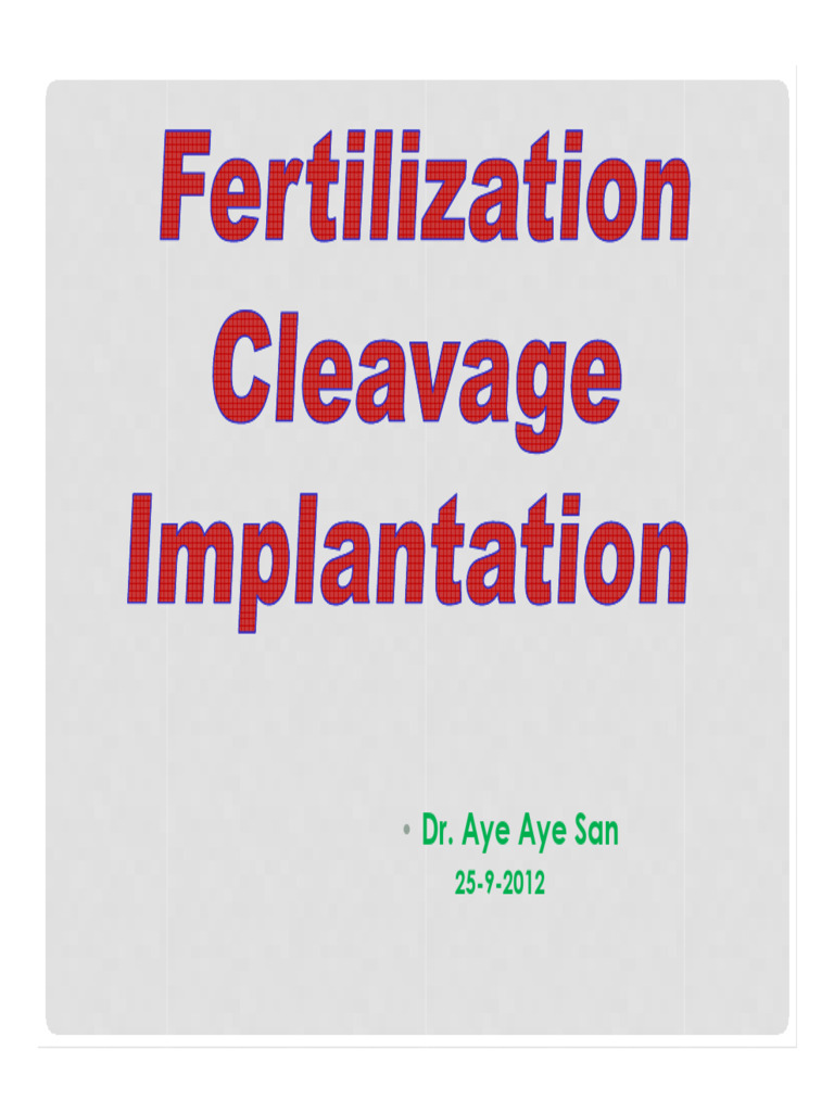 GA&E 13 - Fertilization & Implantation | PDF | Fertilisation | Sexual Anatomy