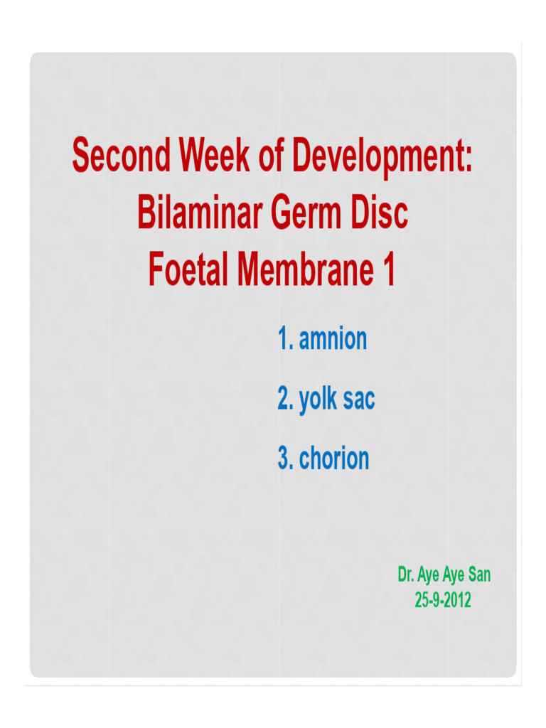 GA&E 14 - Bilaminar Germ Disc | PDF | Biological Processes | Zoology