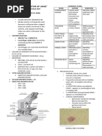Urine Casts: Types and Reporting | PDF | Clinical Medicine | Kidney