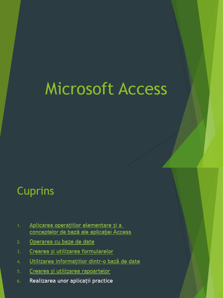 Baze de Date Microsoft Access | PDF