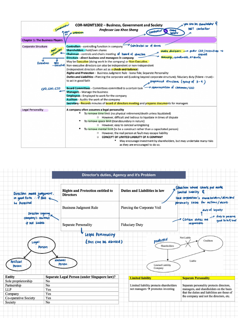 BGS Summarised Notes (Kay) | PDF | Corporate Social Responsibility ...
