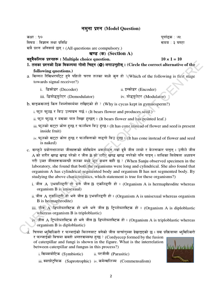 Class 10 Science Model Questions 2080 | PDF