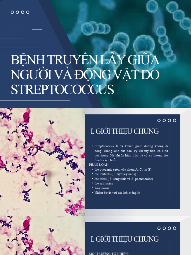 Streptococcus | PDF