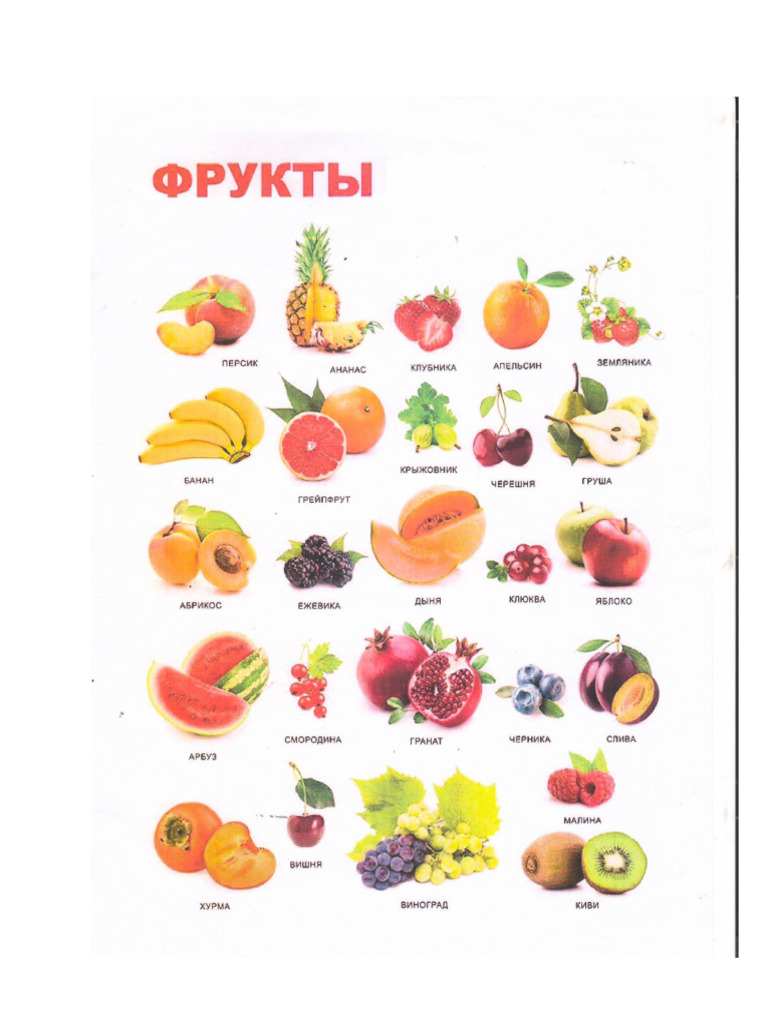 Frukti | PDF