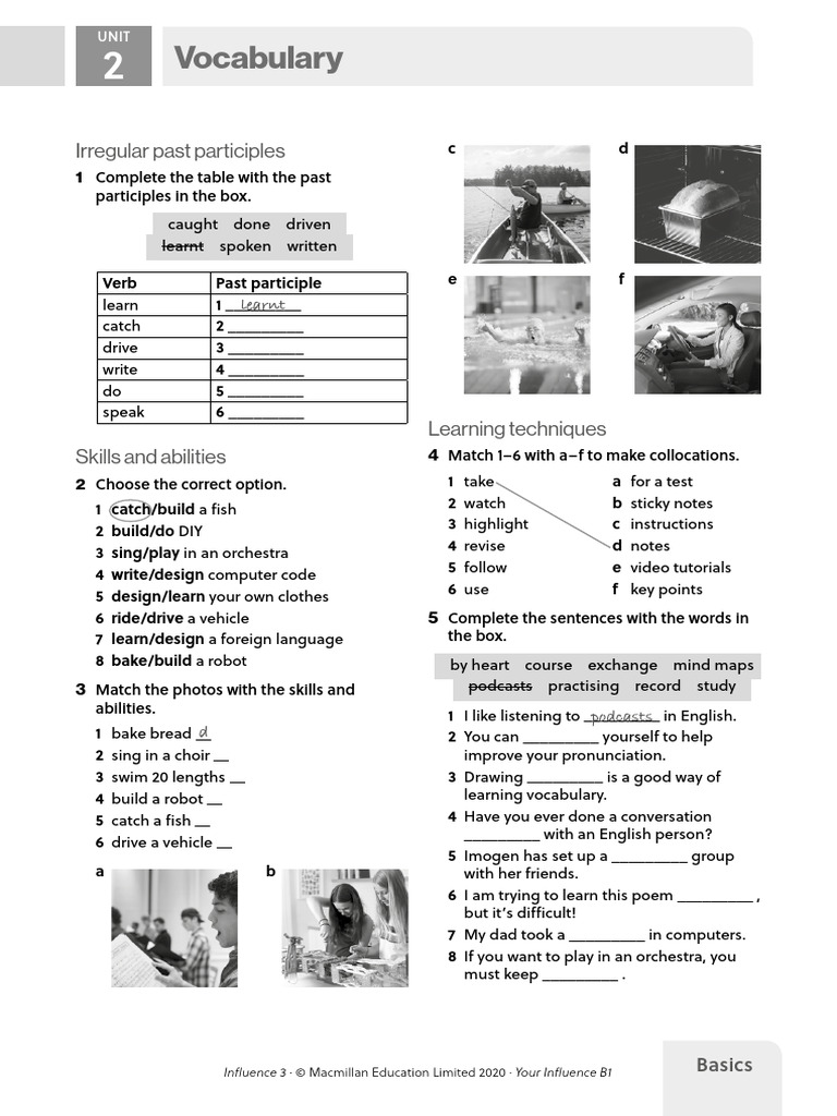 L3 B1 U2 Vocabulary Basics | PDF
