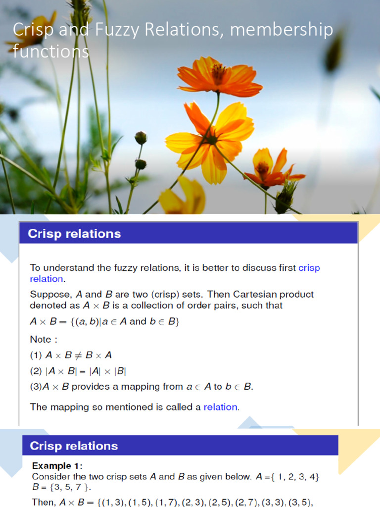 Chp4 Crisp And Fuzzy Relation Membership Functions1 Pdf Function Mathematics Fuzzy Logic 8324