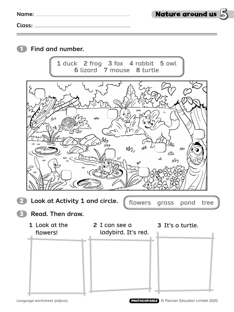 Find and Number.: 1 Duck 2 Frog 3 Fox 4 Rabbit 5 Owl 6 Lizard 7 Mouse 8 ...