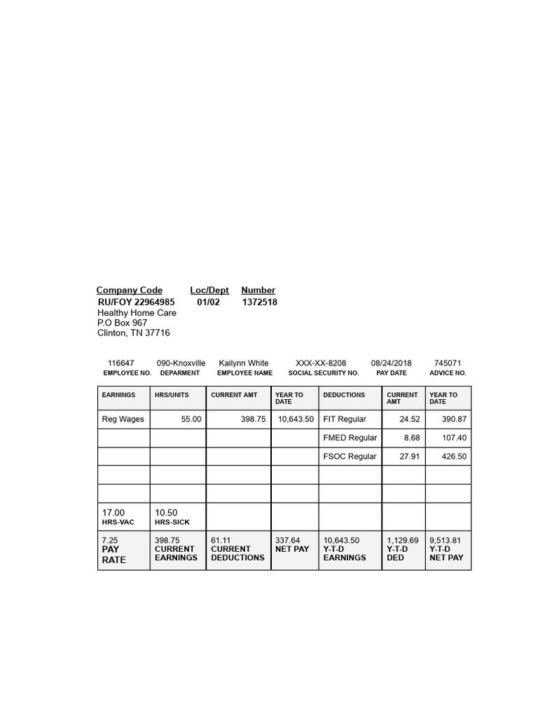 Check Stubs | Download Free PDF | Government Finances | The United States