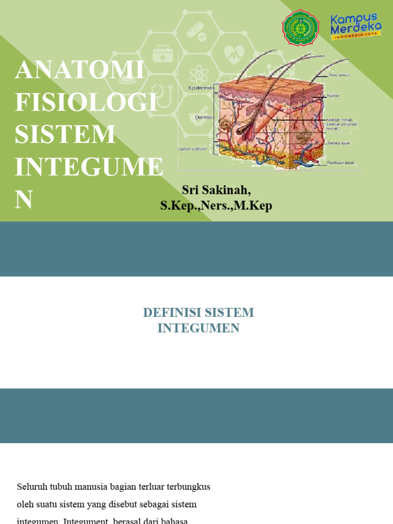 Anatomi Fisiologi Sistem Integumen | PDF