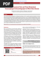 TTE TEE Report Template | PDF