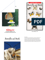 Classroom Butterfly Camouflage Activity | PDF | Camouflage | Mimicry