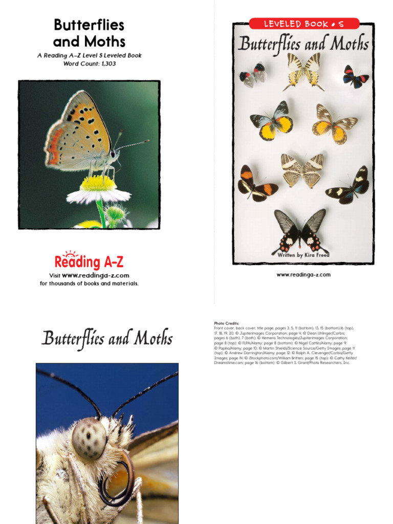 Raz ls18 Butterfliesmoths CLR | PDF | Pupa | Lepidoptera