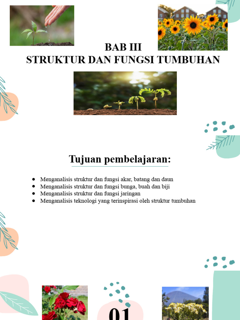Materi Bab III Tumbuhan Lengkap | PDF | Griya & Taman | Kesehatan Holistik