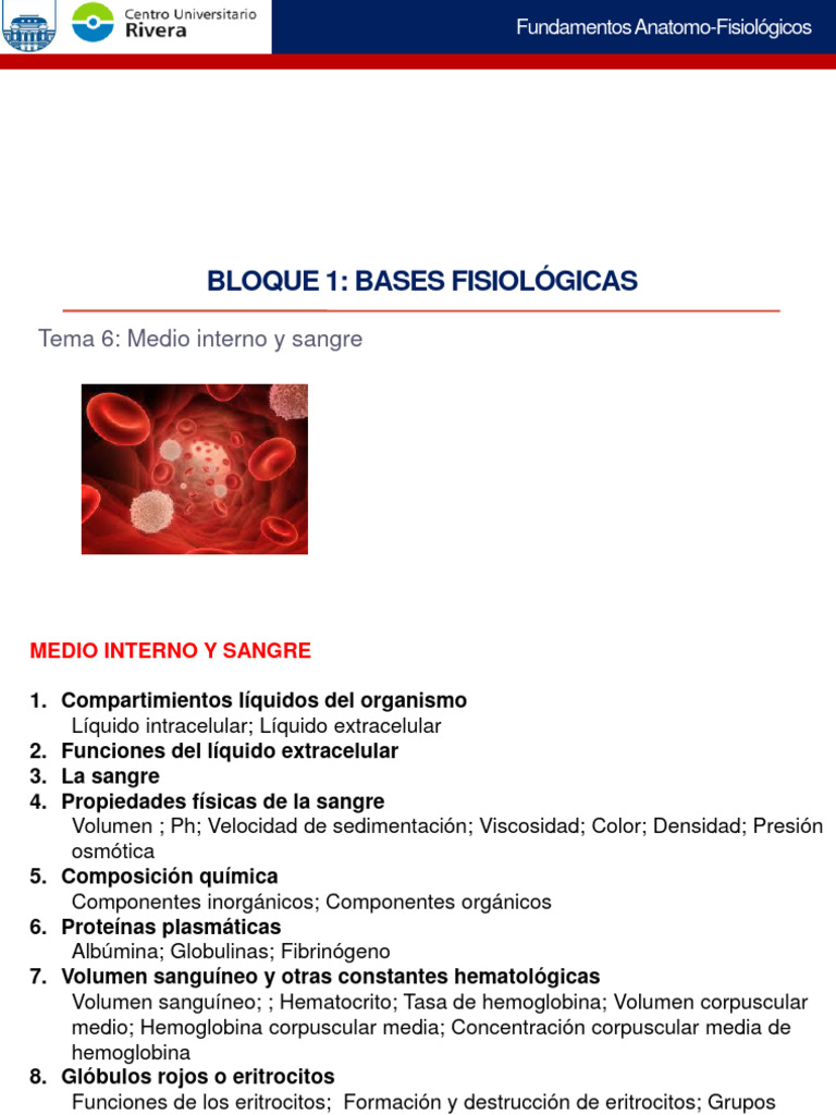 06 Tema6 MedioInternoSangre Diapositivas | PDF | Sangre | Coagulación