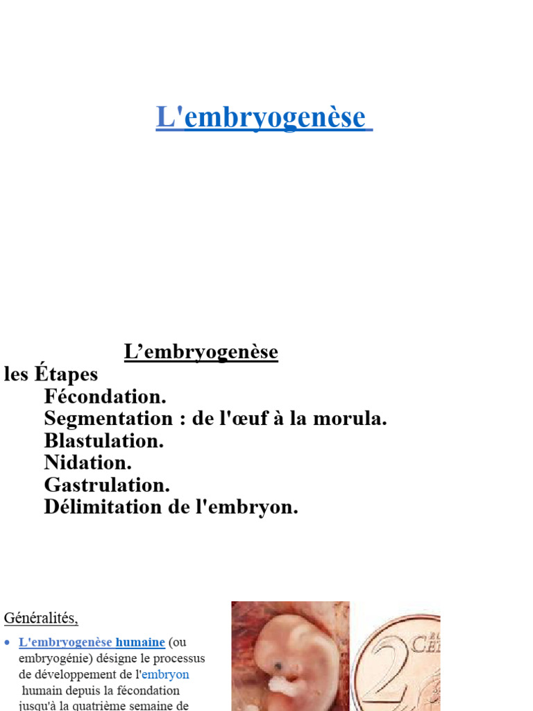 Embriogenese | PDF