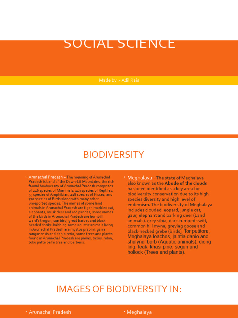 Social Science Assignment | PDF | Minerals | Air Pollution