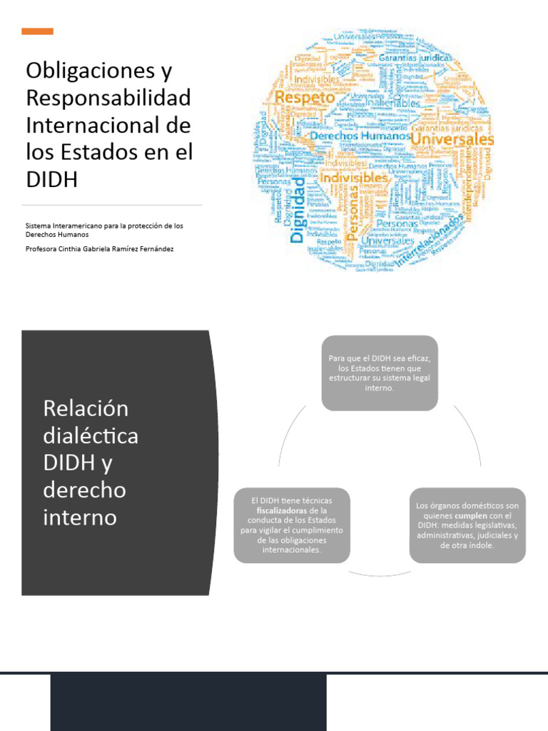 Obligaciones e Introducción Al DIDH | PDF | Derechos humanos | Violación