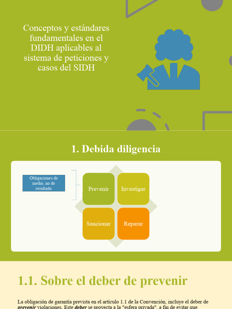Conceptos y Estándares Fundamentales en El DIDH Aplicables | PDF ...