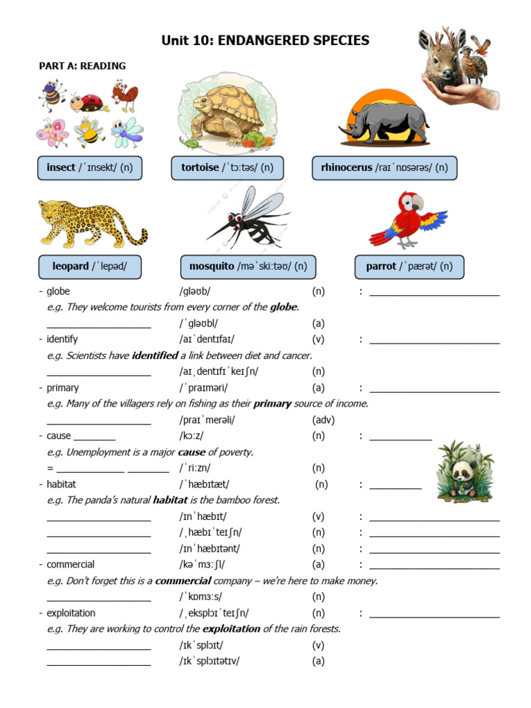Student G12 Unit 10 Handout Vocabulary | PDF | Gorilla | Natural ...