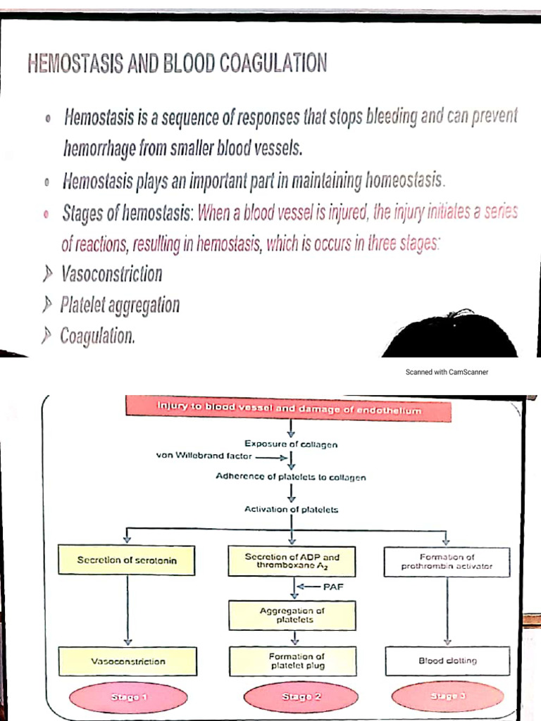Blood Coagulation & Platelets | PDF