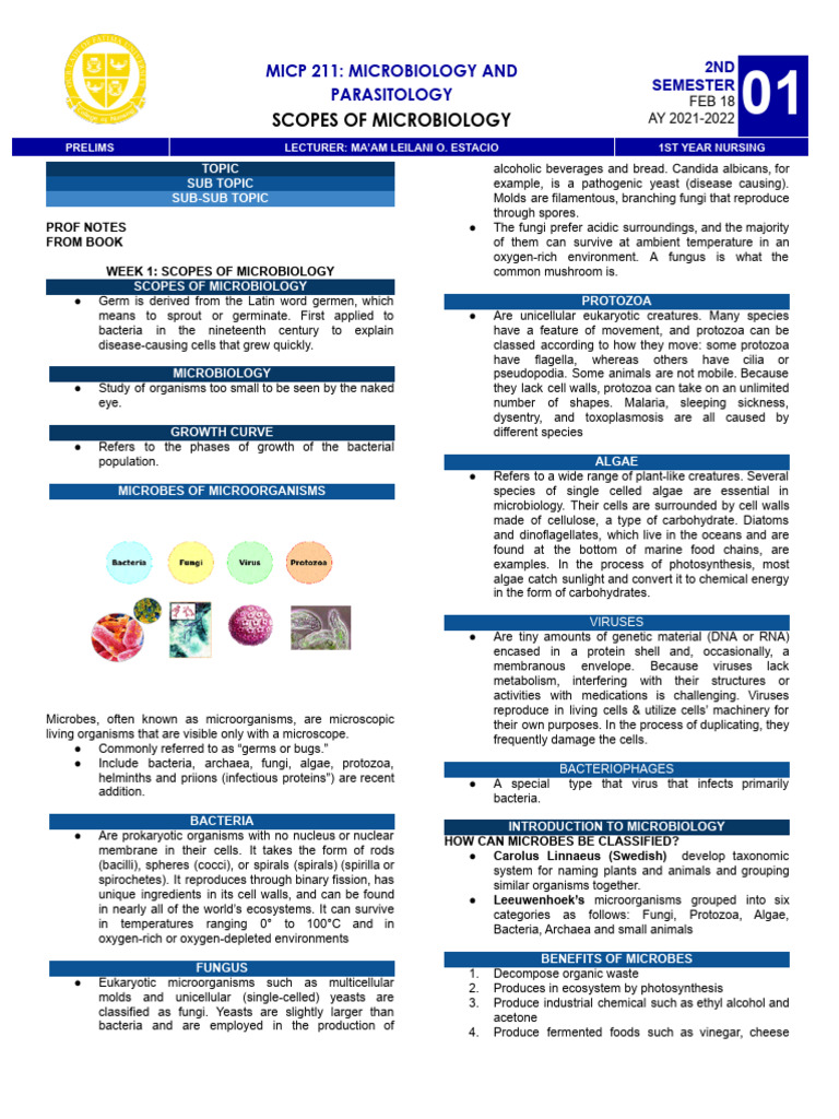Micp 211 - Prelims | PDF