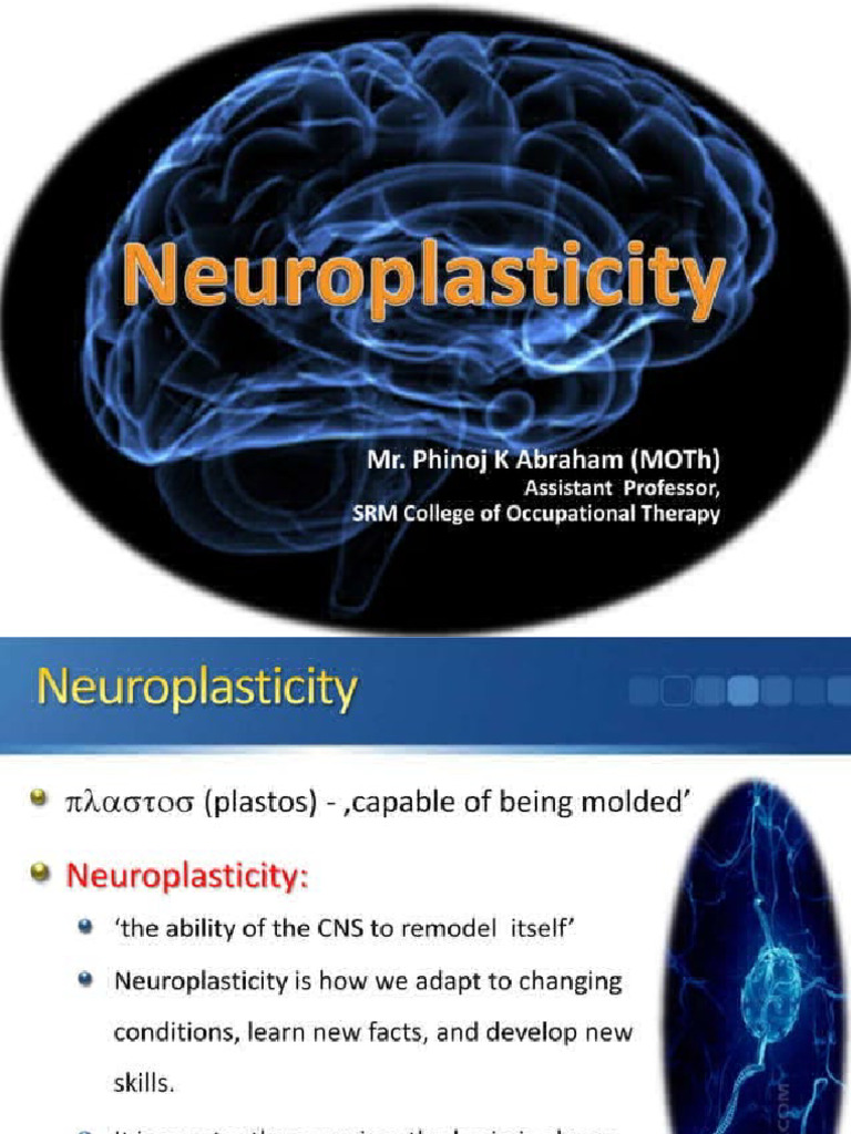 Introduction To Neuroplasticity Its Application in Neuro Rehabilitation ...