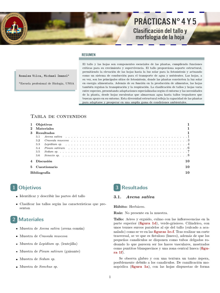 Prácticas 4 y 5 Tallo y Hoja | PDF | Hoja | Tallo de la planta