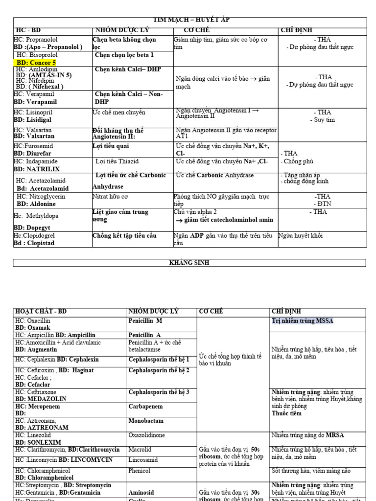Kháng Sinh | PDF