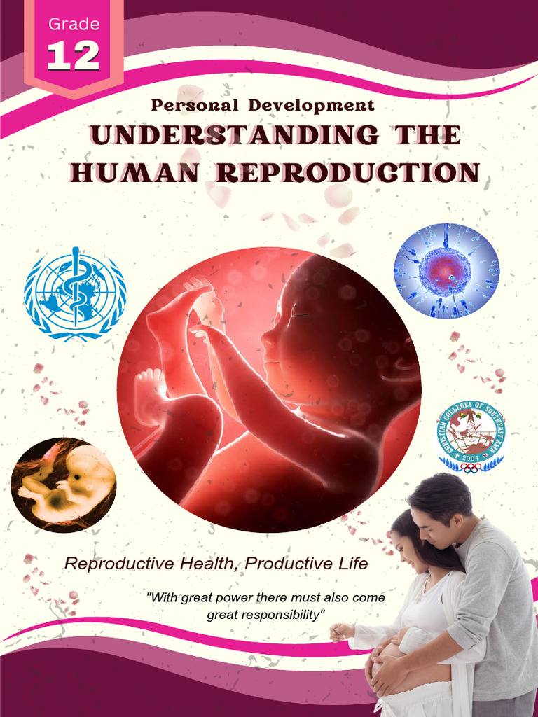 Understanding The Human Reproduction | PDF | Menstrual Cycle ...