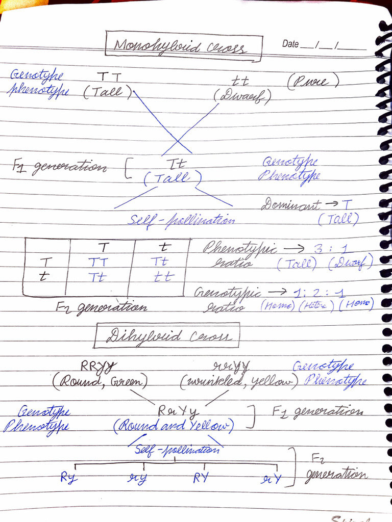 Class 10 Science | PDF
