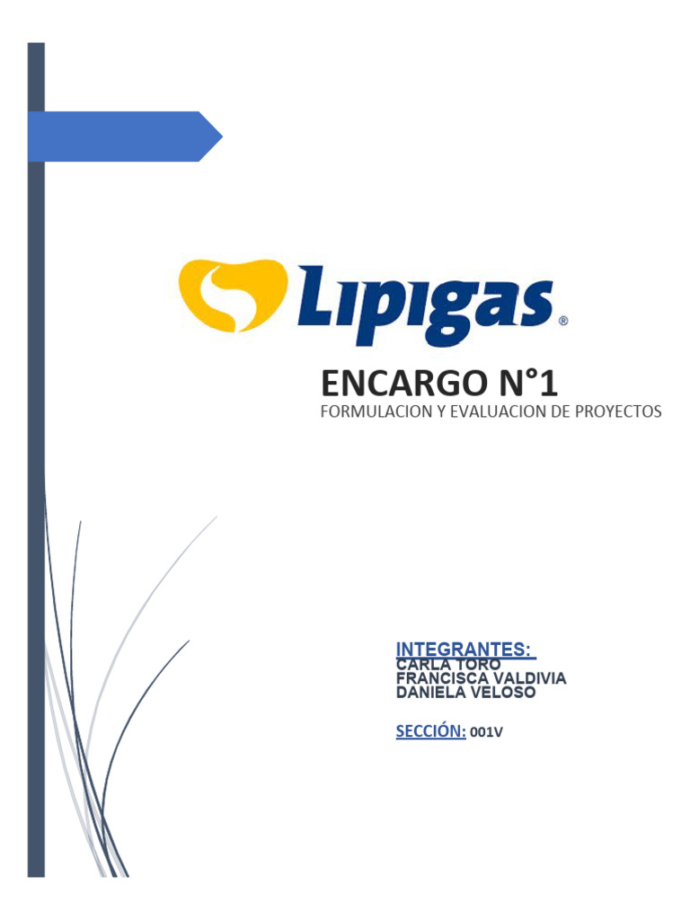 Diagnóstico Empresarial de Lipigas | PDF