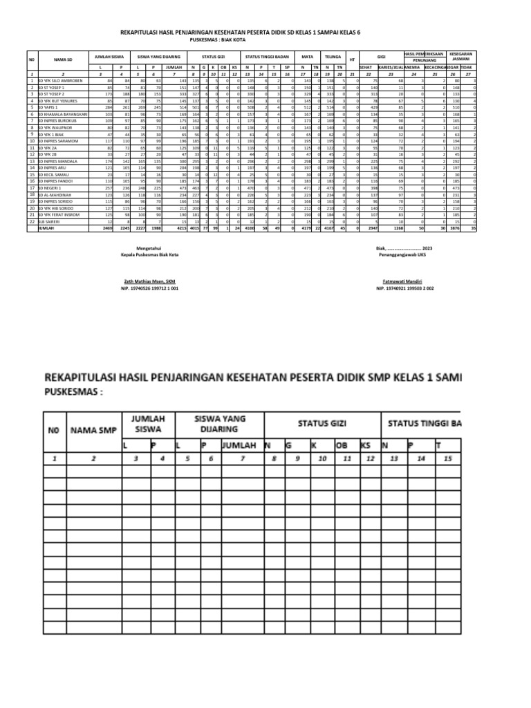 Format Laporan Pelayanan Pendidikan Dasar | PDF