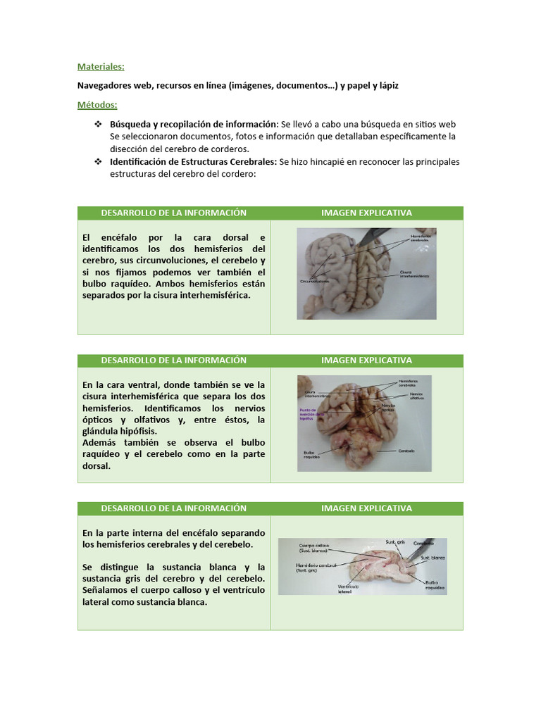 Práctica Psico | PDF
